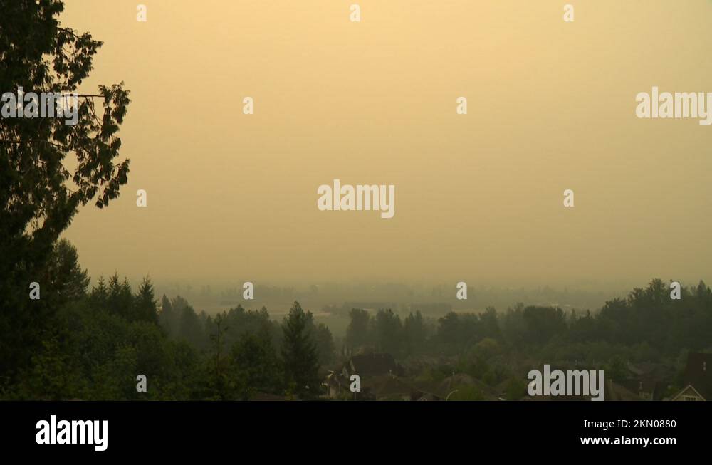 Thick hazardous smoke Stock Videos & Footage - HD and 4K Video Clips ...
