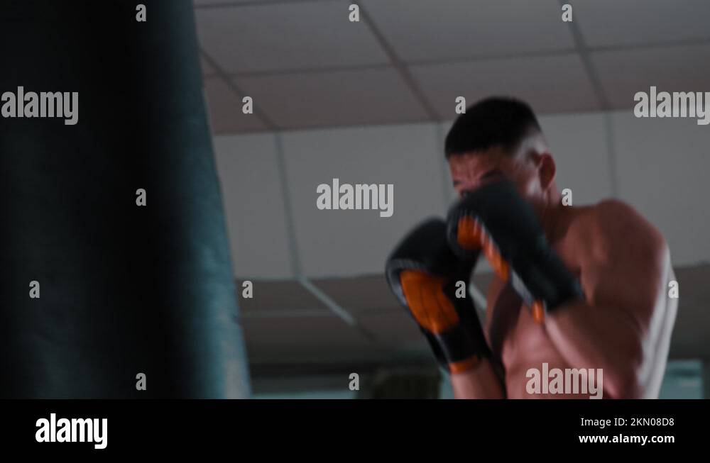 Shirtless young man boxer training with a punching bag in the gym Stock ...