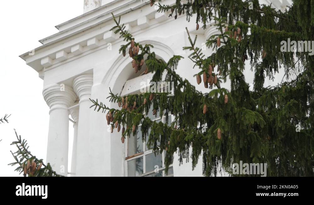 Blue church culture tree Stock Videos & Footage - HD and 4K Video Clips ...