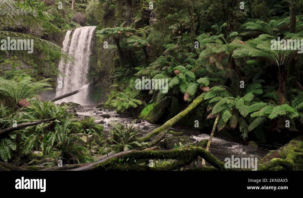 Majestic temperate Rainforest Waterfall in Australia Stock Video ...