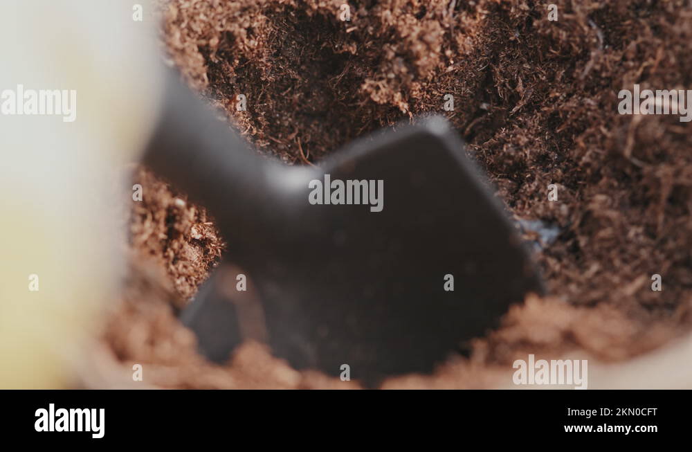 Flower pot hole Stock Videos & Footage - HD and 4K Video Clips - Alamy