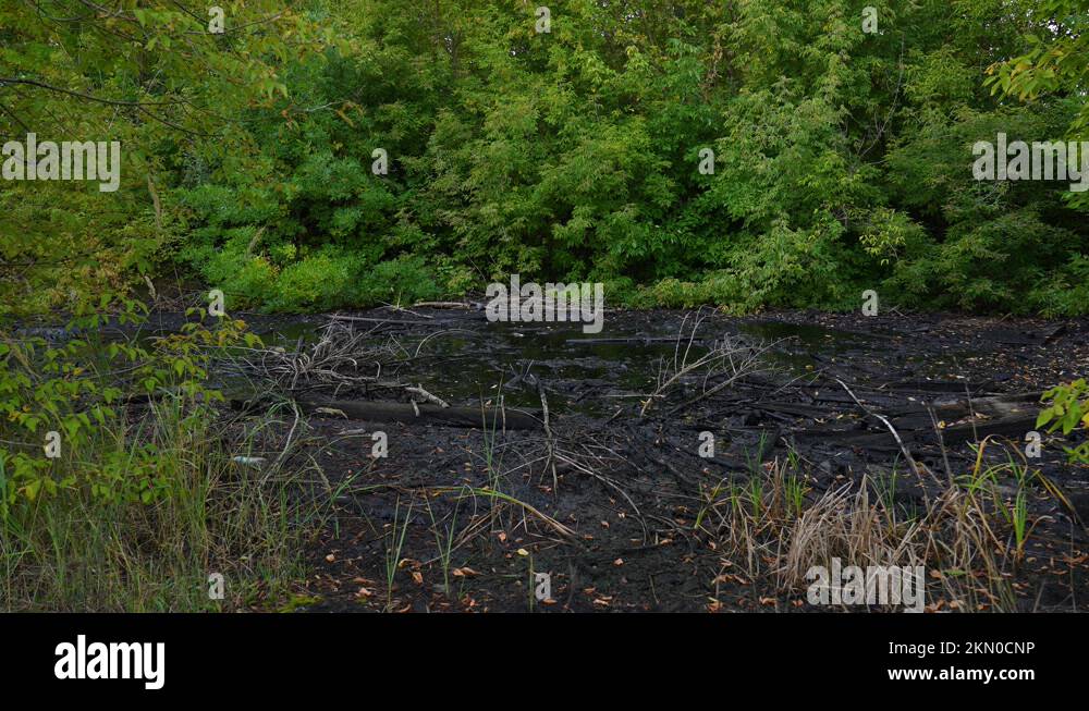 Oil puddle Stock Videos & Footage - HD and 4K Video Clips - Alamy