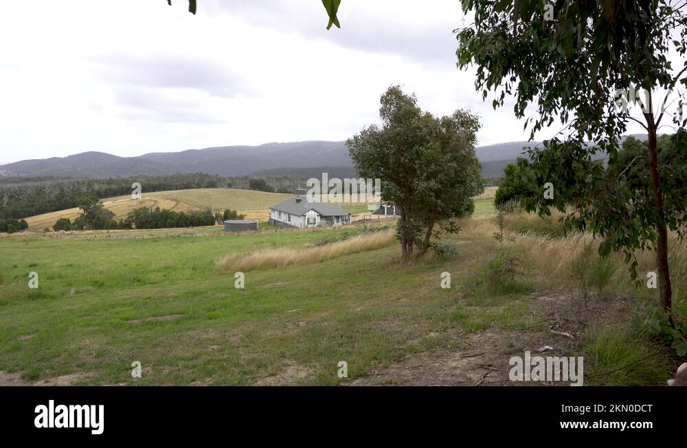 Home ranges Stock Videos & Footage - HD and 4K Video Clips - Alamy