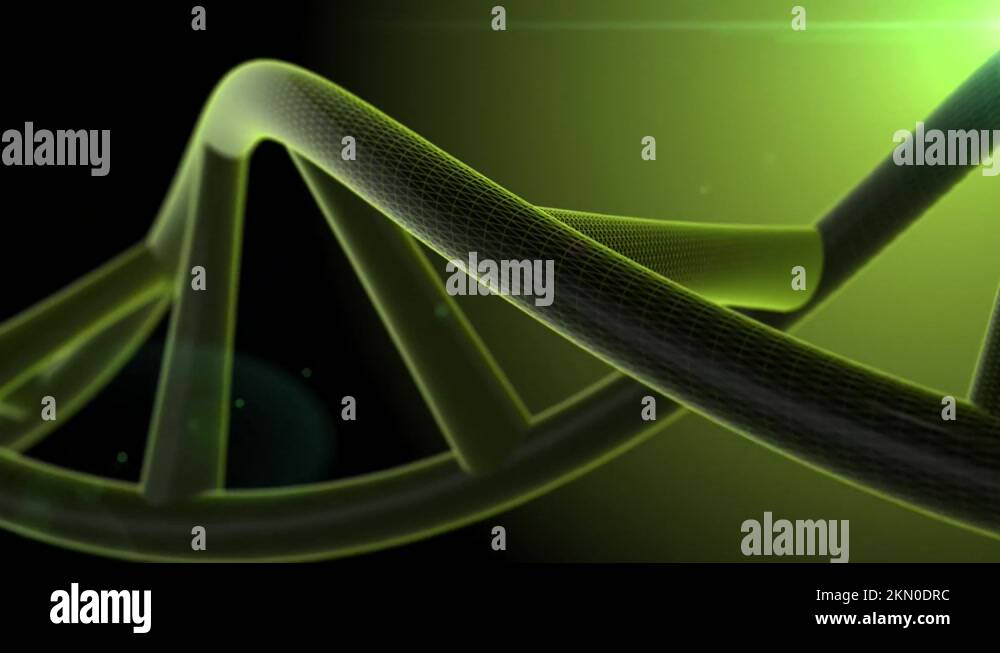 DNA double helix abstract 3D animation. Human DNA spiral. Rotating DNA ...