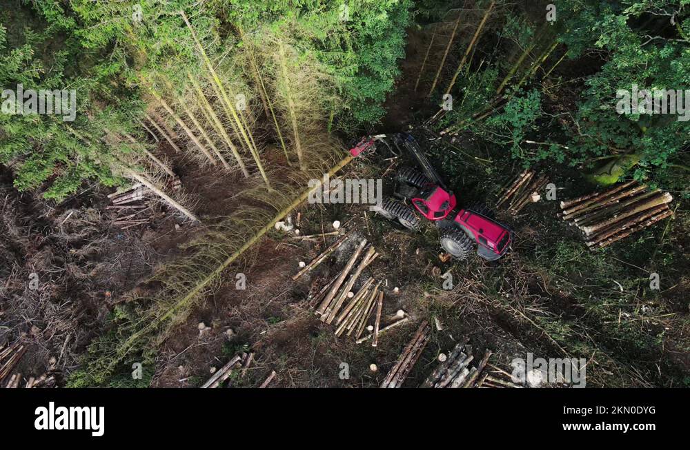 Aerial shot. Mechanical arm of a specialized Bark Removing Machine ...