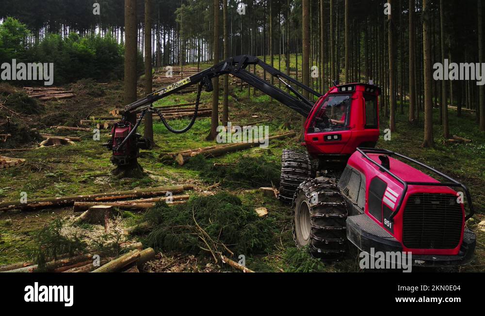 Logging tool Stock Videos & Footage - HD and 4K Video Clips - Alamy