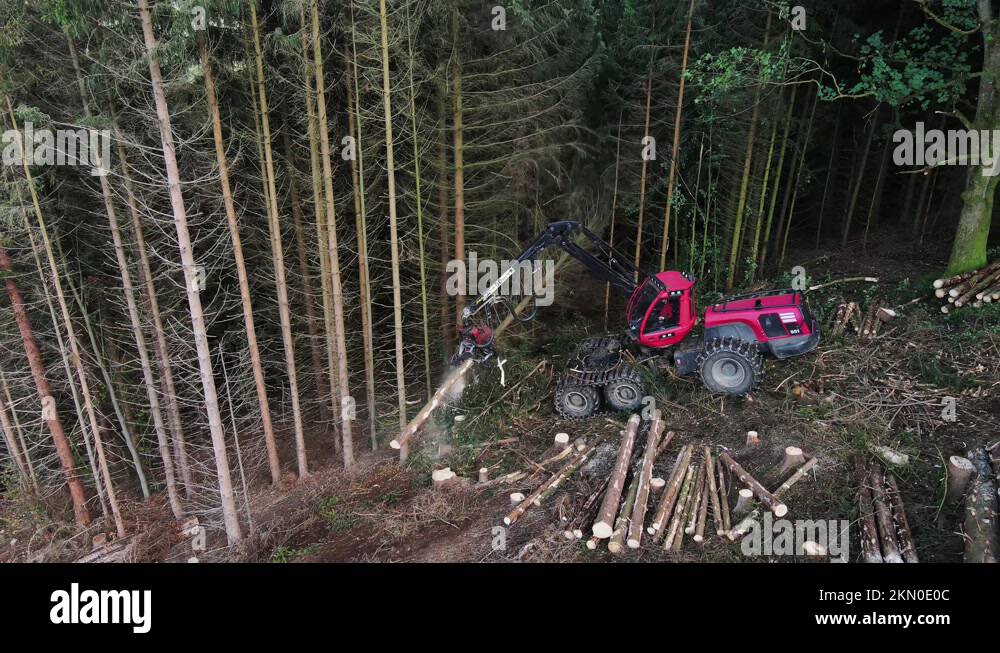 Crane cutting log tree in Stock Videos & Footage - HD and 4K Video ...