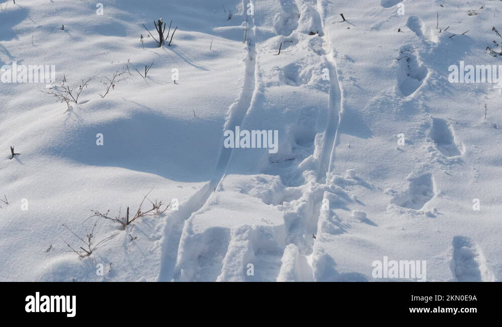Deep foot prints Stock Videos & Footage - HD and 4K Video Clips - Alamy