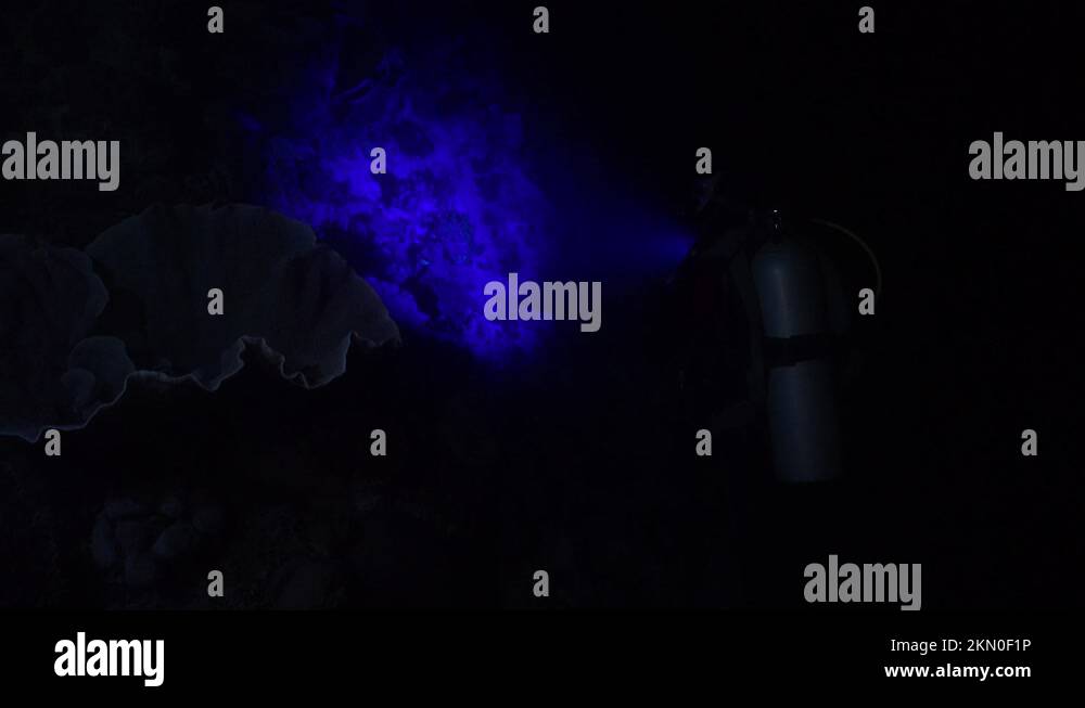 Uv light blue Stock Videos & Footage - HD and 4K Video Clips - Alamy