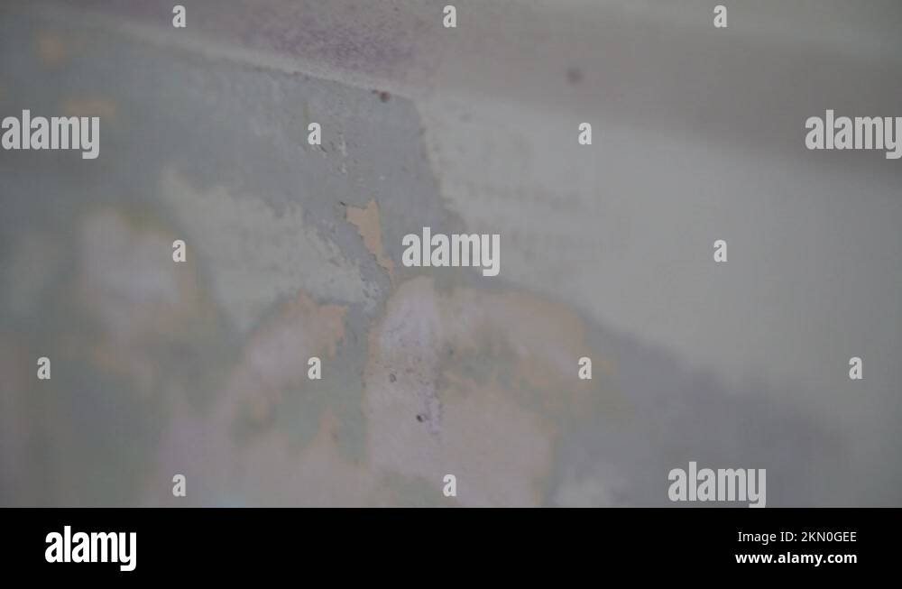 Plaster paint Stock Videos & Footage - HD and 4K Video Clips - Alamy