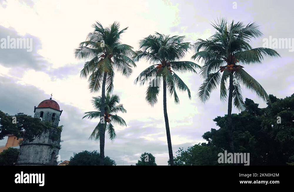 Coconut palace Stock Videos & Footage - HD and 4K Video Clips - Alamy