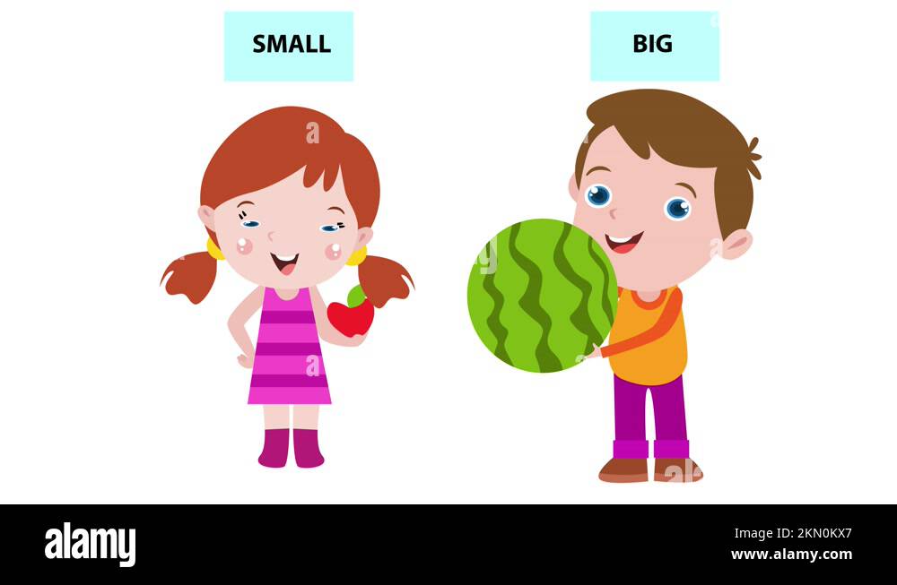 Comparing size comparison Stock Videos & Footage - HD and 4K Video ...