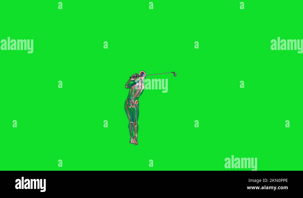 Human x-ray body and skeleton, Golf Strike, Green Screen Stock Video ...