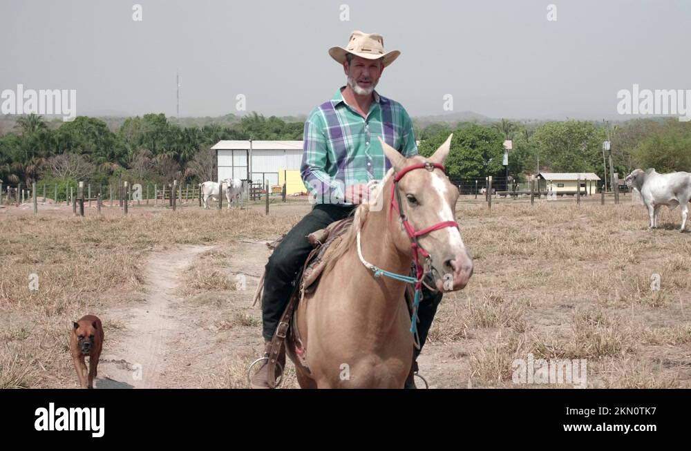 Cowboy with dog and horse Stock Videos & Footage - HD and 4K Video ...