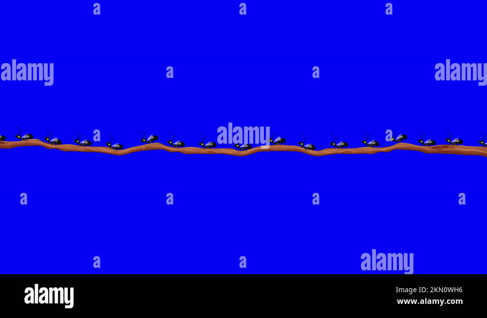 Small Ants with Wings on a Branch in Seamless Loop on a Blue Screen ...