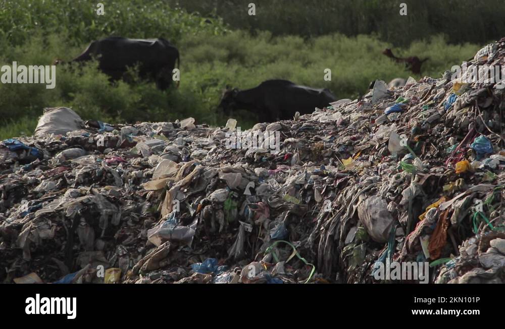 Waste disposal site in Stock Videos & Footage - HD and 4K Video Clips ...
