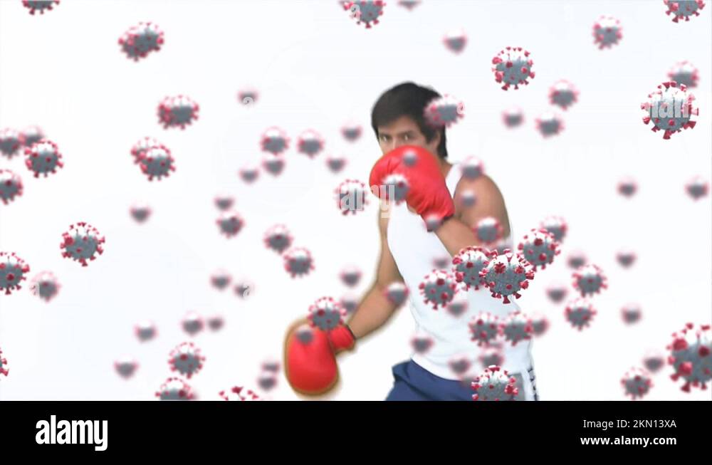 Mixed cells Stock Videos & Footage - HD and 4K Video Clips - Alamy