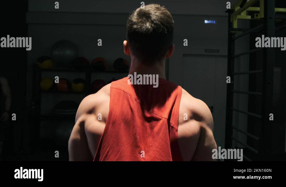 Athletic male bodybuilder in a dark gym raises dumbbells. Back view ...