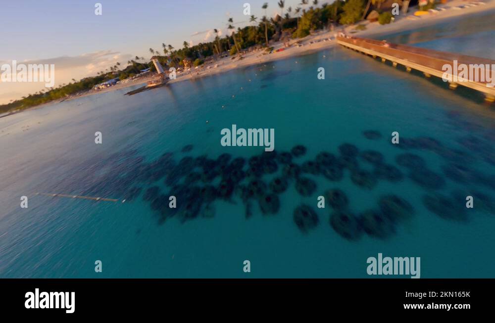 FPV drone along the stunning Dominicus Beach in the Caribbean during ...