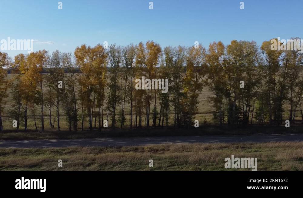 Tree planting drone Stock Videos & Footage - HD and 4K Video Clips - Alamy