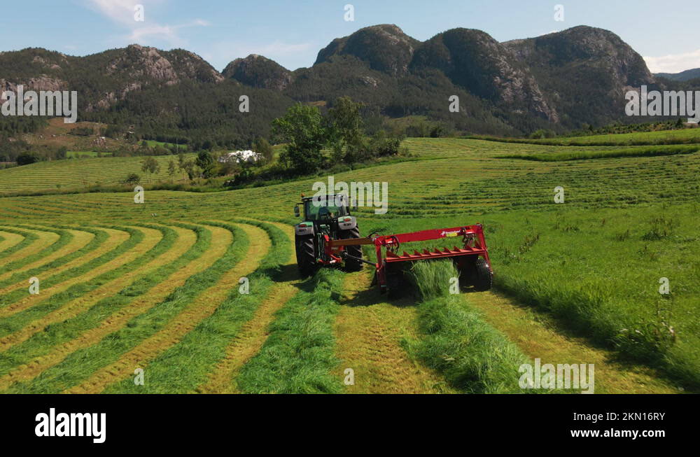 Farm silage cutting Stock Videos & Footage - HD and 4K Video Clips - Alamy