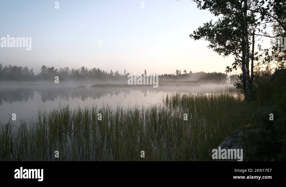 Lacustrine environment Stock Videos & Footage - HD and 4K Video Clips ...