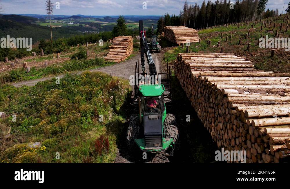 Log logs logging timber Stock Videos & Footage - HD and 4K Video Clips ...