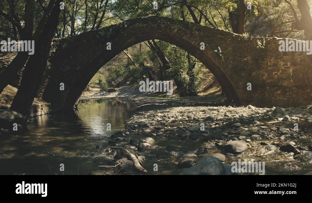 Ancient medieval bridge water pond in green forest park in Europe ...