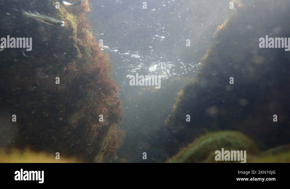 Mackerel rocks Stock Videos & Footage - HD and 4K Video Clips - Alamy