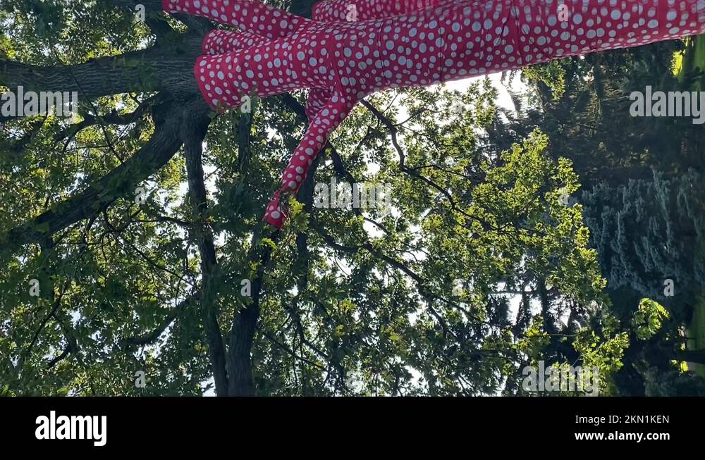 Cosmic trees Stock Videos & Footage - HD and 4K Video Clips - Alamy Cosmic trees Stock Videos & Footage - HD and 4K Video Clips - Alamy
