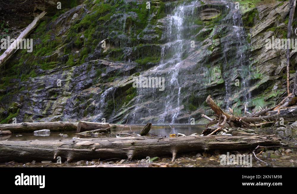 A wonderful background of a waterfall with dead trees on the floor ...