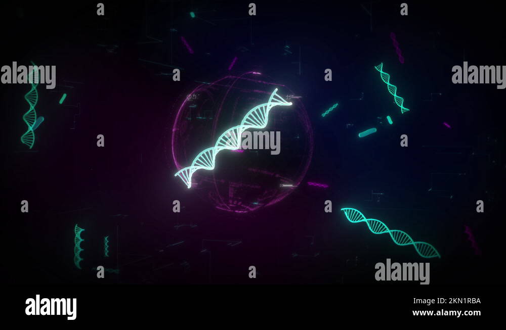 Genetic model Stock Videos & Footage - HD and 4K Video Clips - Alamy