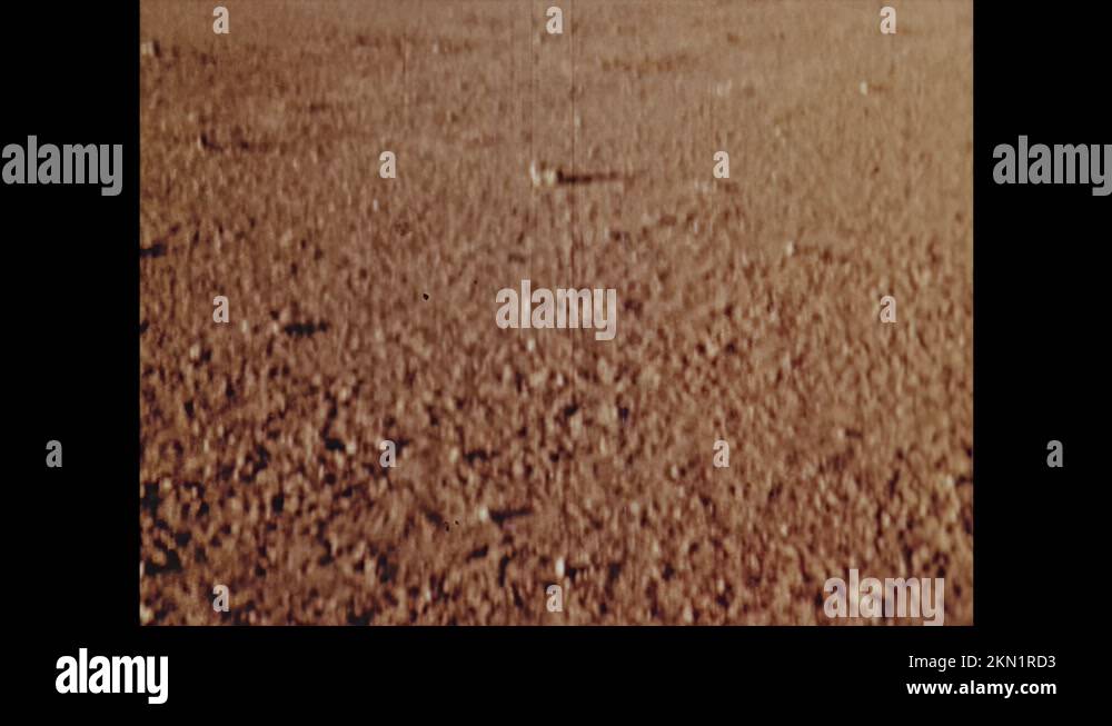 1950s: Desert. Ground in desert. Map of Middle East, palm trees appear ...