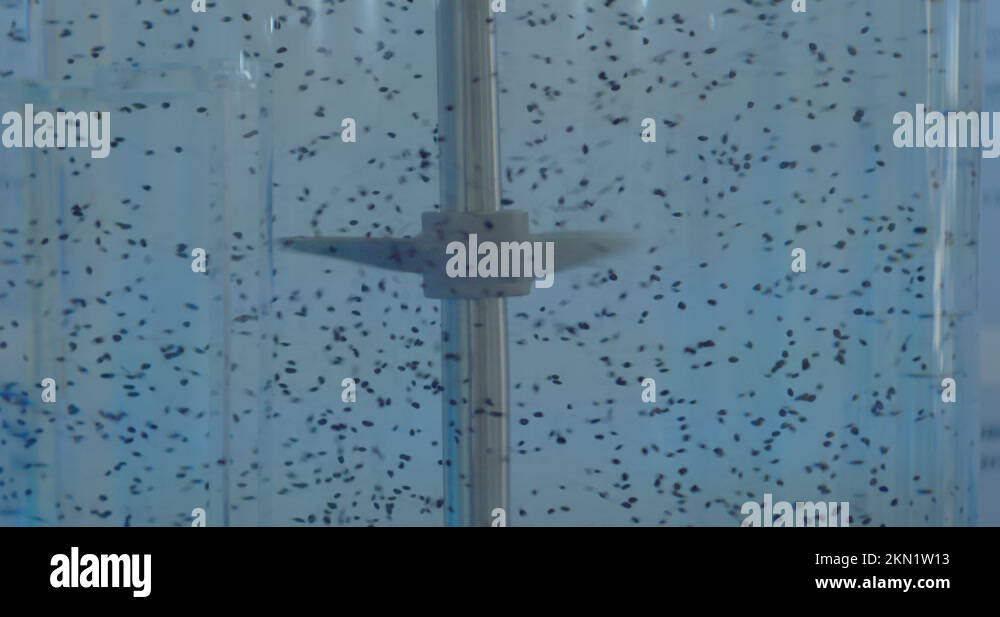 screw rotates in transparent water mixing fine particles.close-up Stock ...