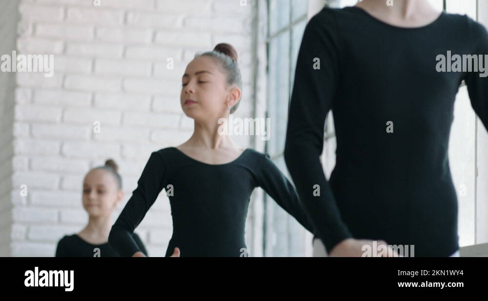 Young girls in dance class. Kids wearing leotards standing near window ...