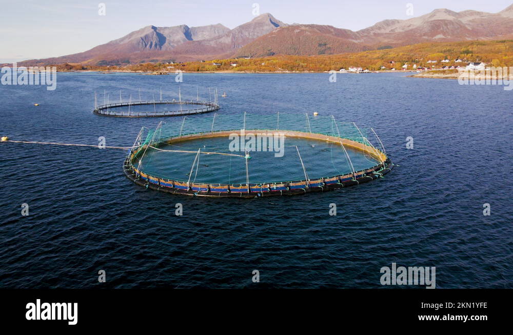 Salmon cages Stock Videos & Footage - HD and 4K Video Clips - Alamy