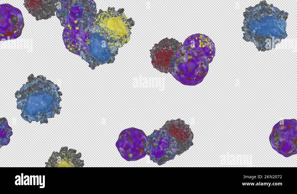 White blood cells flow, Basophils, Eosinophils, Lymphocyte, Monocyte ...