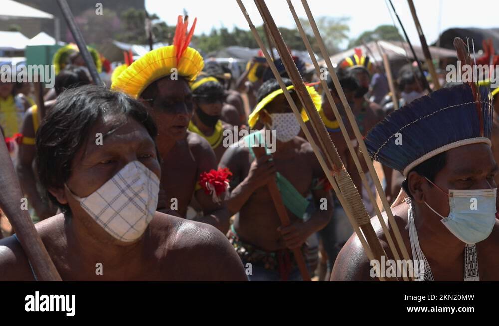 Brazil amazon rainforest tribe Stock Videos & Footage - HD and 4K Video ...