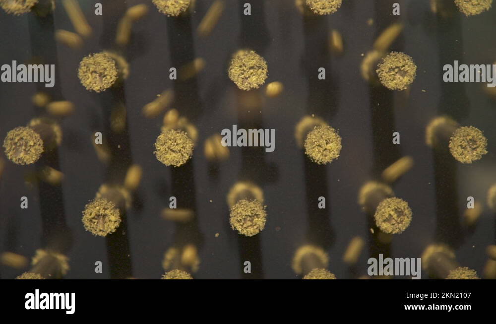 Gaussian function Stock Videos & Footage - HD and 4K Video Clips - Alamy