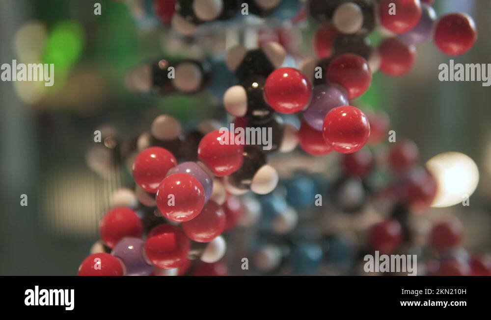 Biology dna model Stock Videos & Footage - HD and 4K Video Clips - Alamy