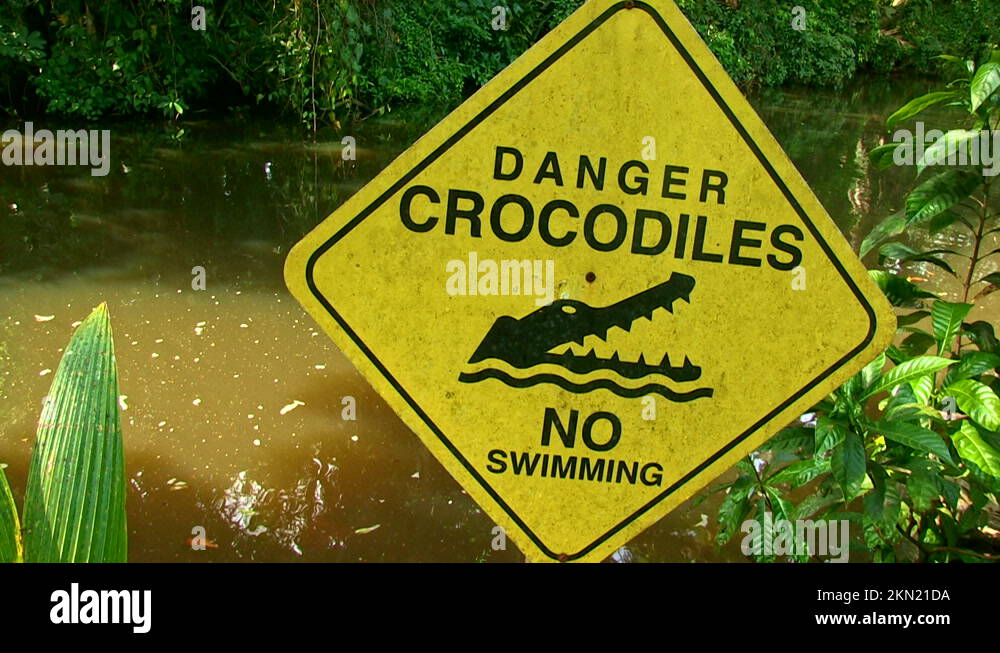 Danger sign warning of crocodiles Stock Videos & Footage - HD and 4K ...