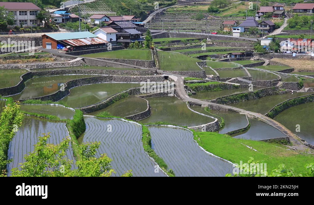 Tanada Stock Videos & Footage - HD and 4K Video Clips - Alamy