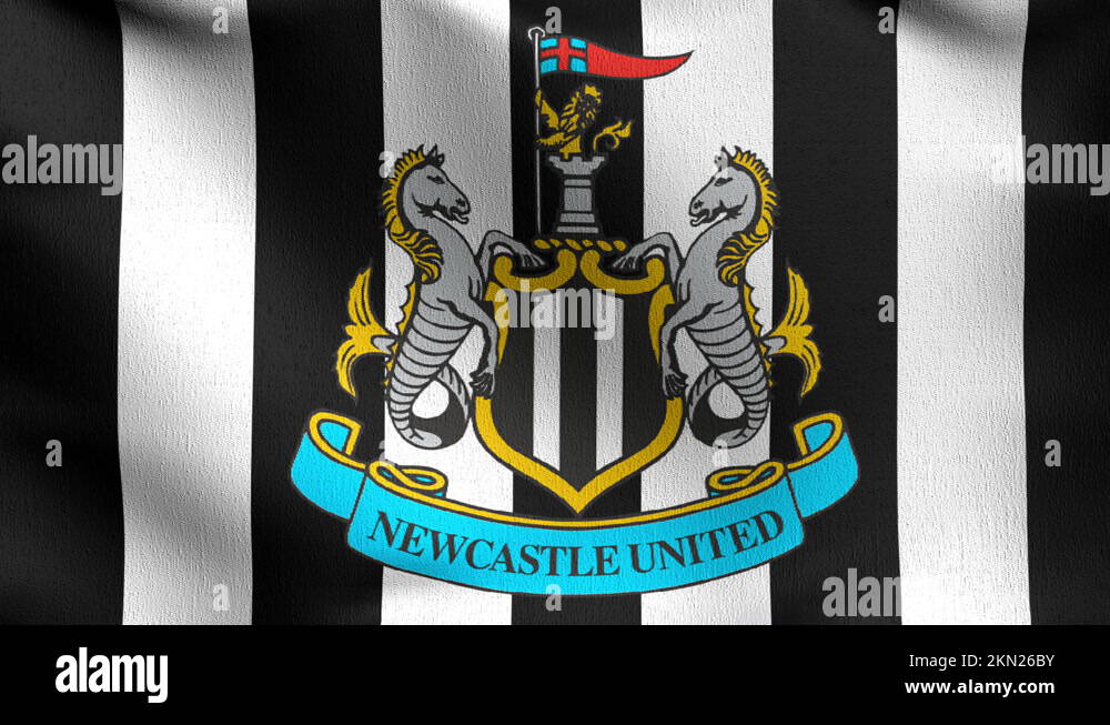 Newcastle united flag Stock Videos & Footage - HD and 4K Video Clips ...