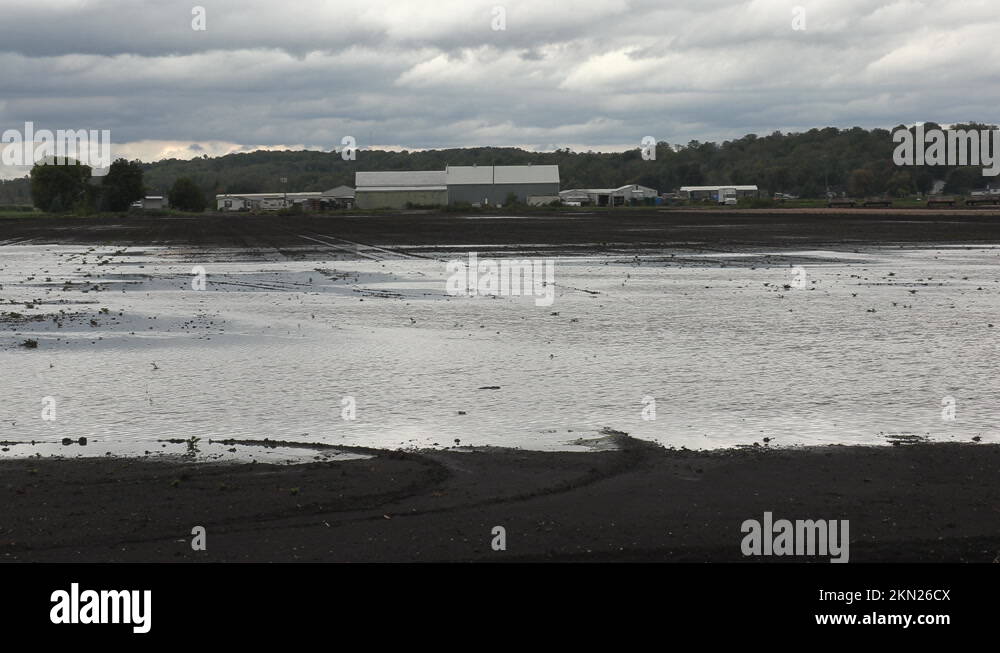 Massive flooding of farm fields full of crops at harvest after heavy ...