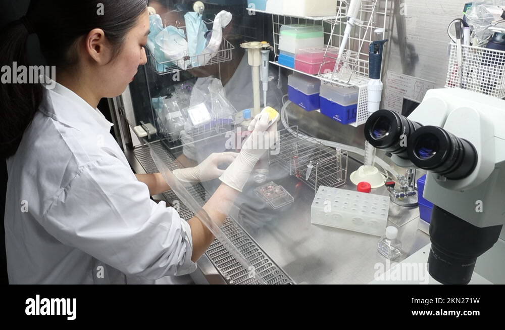 Female researcher Stock Videos & Footage - HD and 4K Video Clips - Alamy