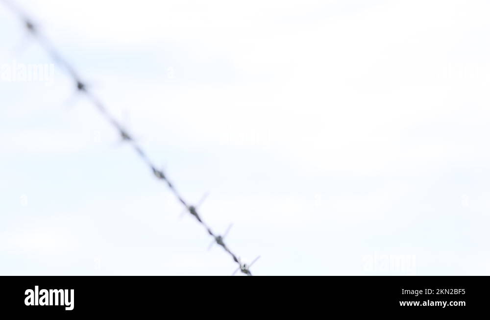 Silhouette of barbed wire on a light background. Military base. Rack ...