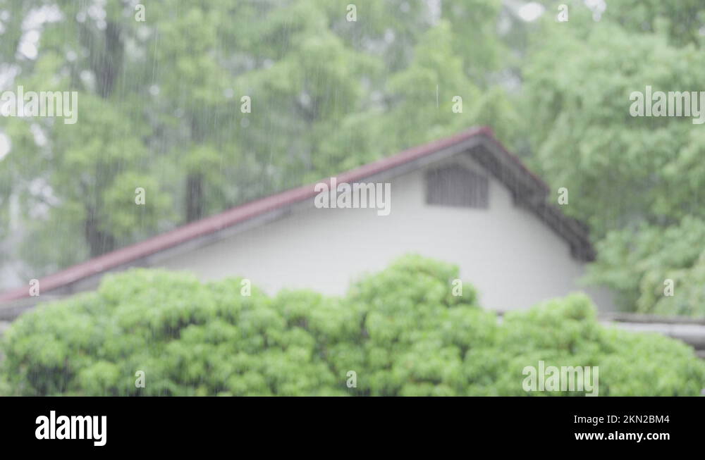 Rain Stock Videos & Footage - HD and 4K Video Clips - Alamy