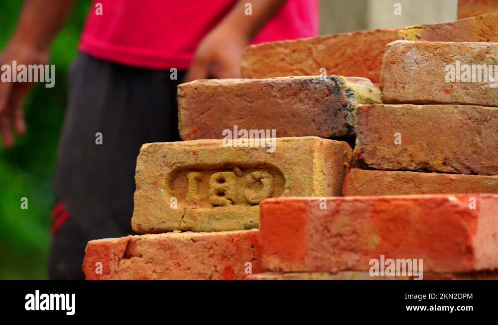 Indian family members unloading bricks from tractor at construction ...
