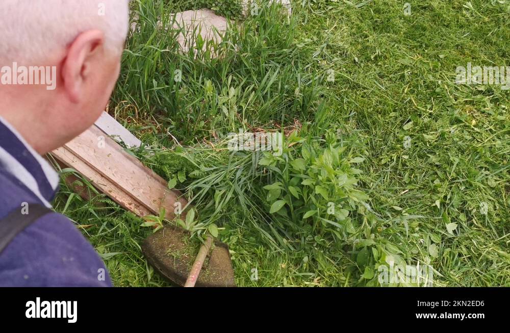 Manual grass cutter Stock Videos & Footage - HD and 4K Video Clips - Alamy