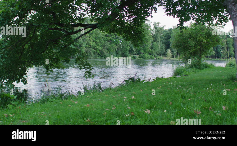 Floodplain in spring germany Stock Videos & Footage - HD and 4K Video ...
